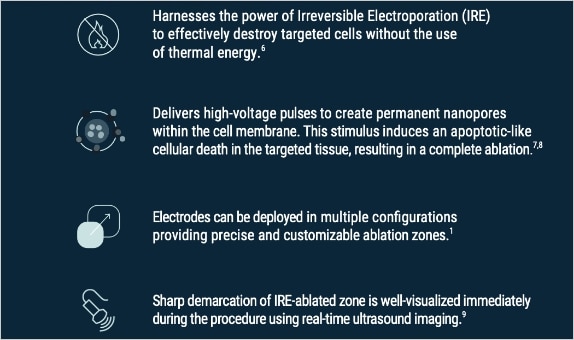 Irrevisible Electroporation (IRE) System | Angeion Medical