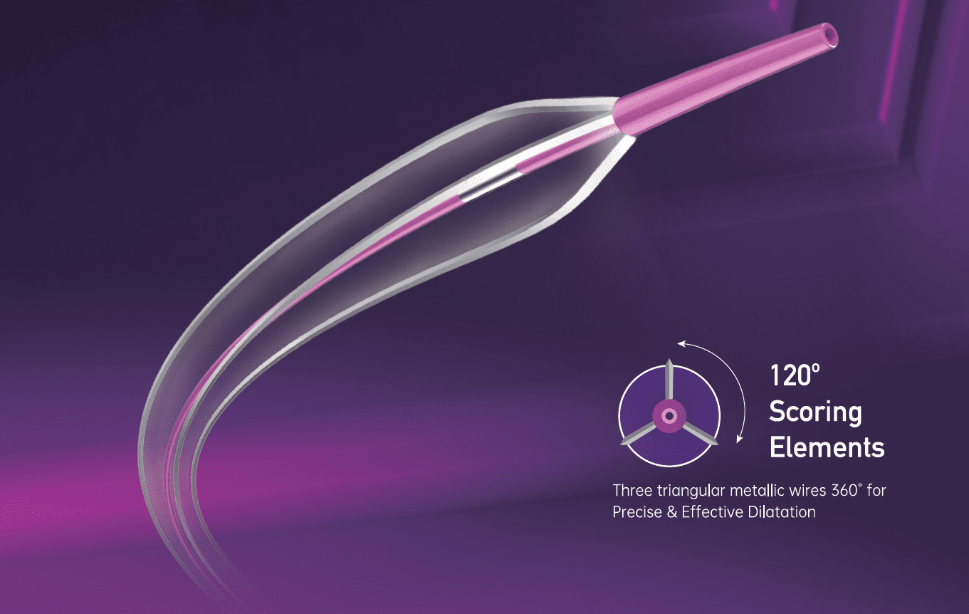 TriWedge PTA Scoring Balloon Receives Registration Approval in Korea ...